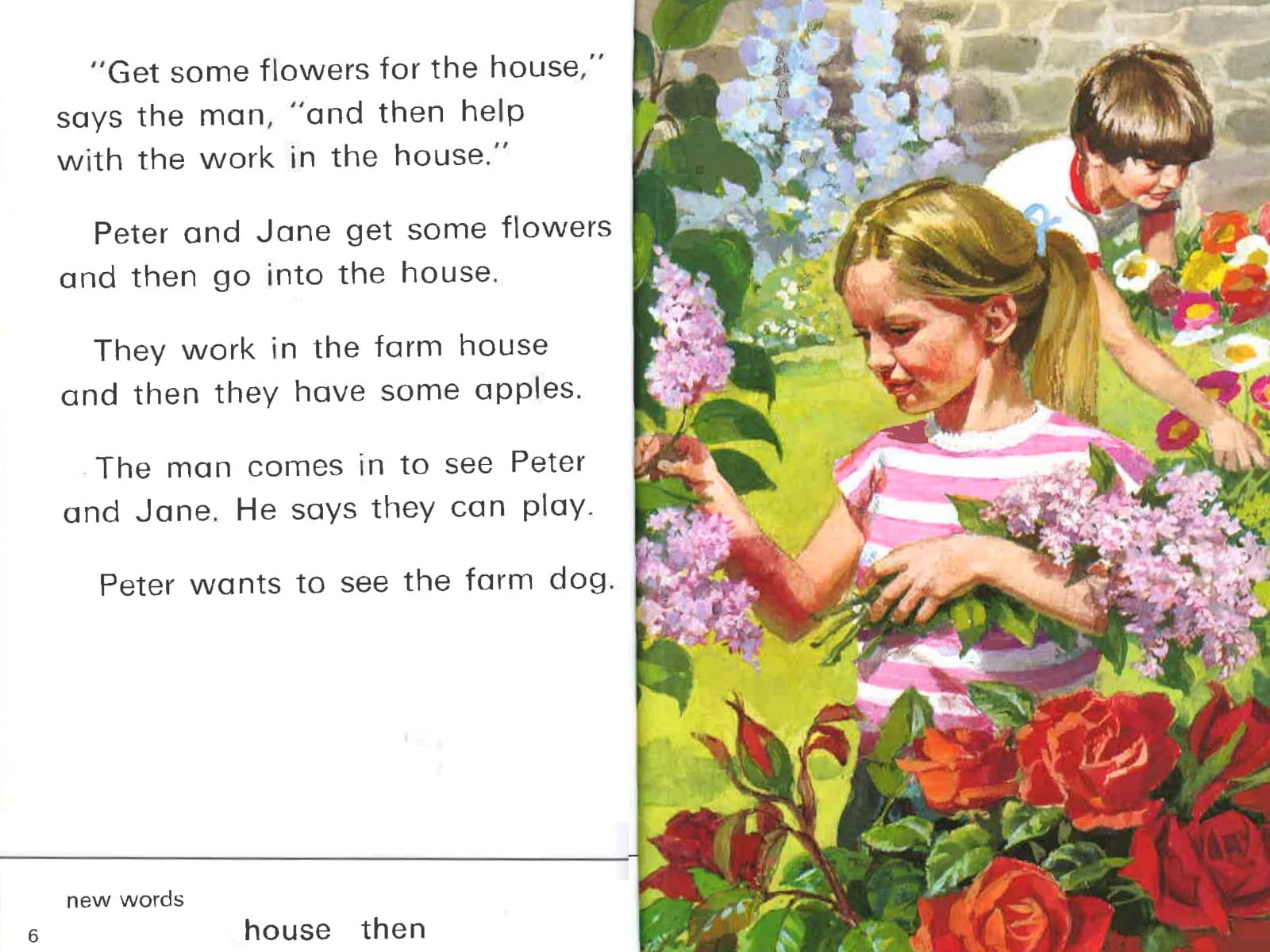 Key Words with Peter and Jane – 4B - Fun at the farm - Tự học tiếng Anh!