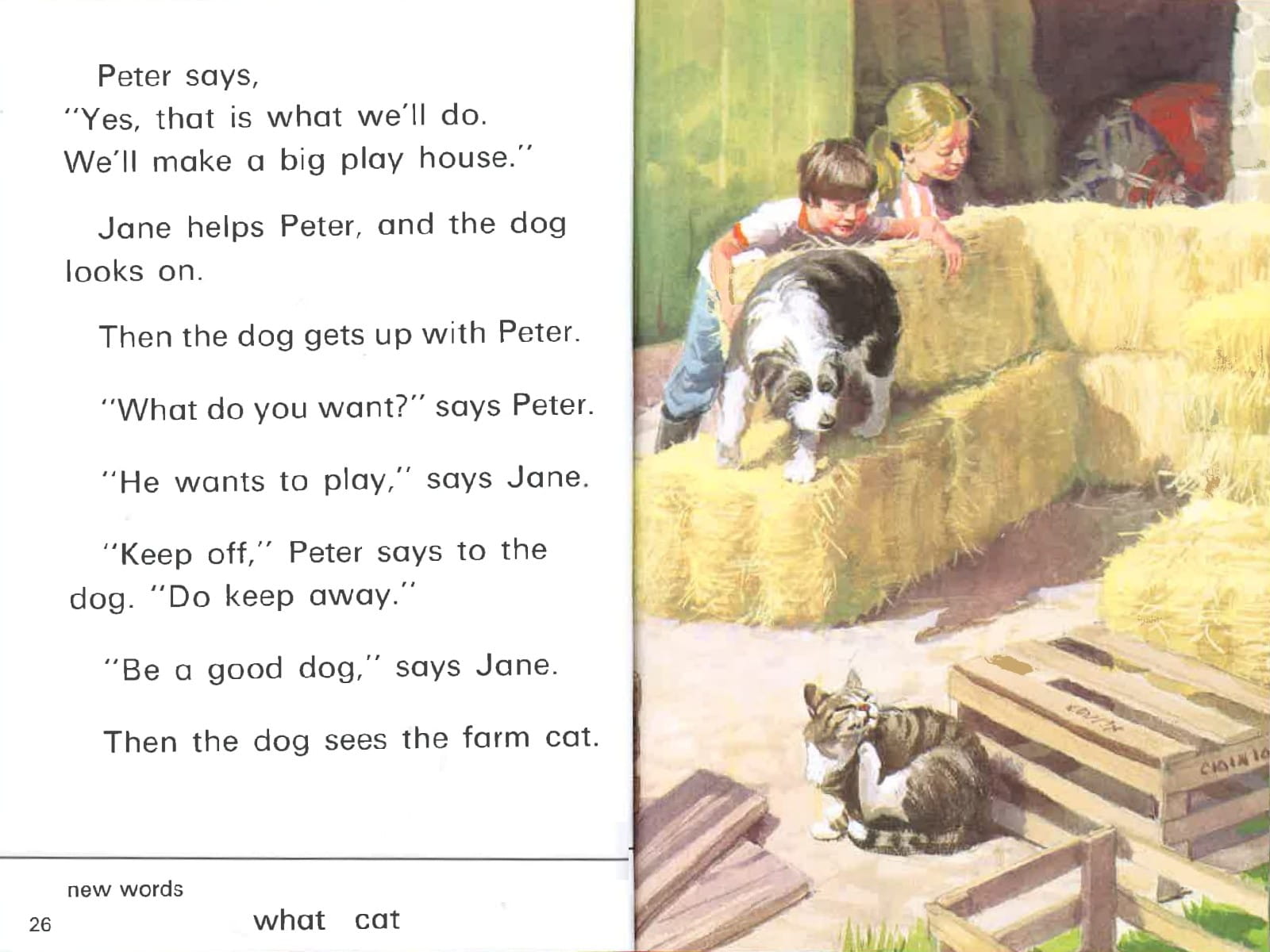 Key Words with Peter and Jane – 4B - Fun at the farm - Tự học tiếng Anh!